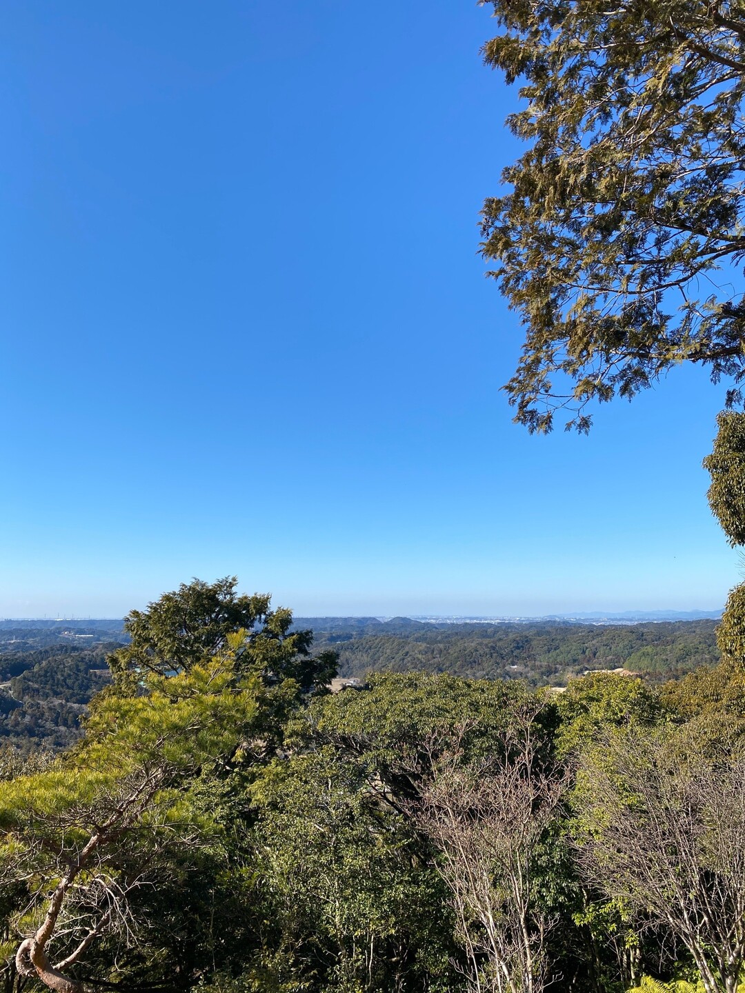 八形山・森町町民の森 / sigeさんのウォーキングの活動データ | YAMAP / ヤマップ