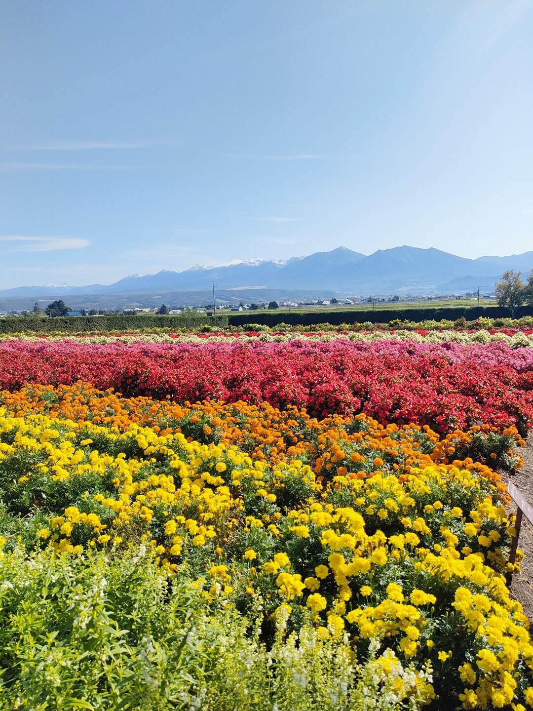 ガチで行く ズリ山 Part 2 / 自由人さんの音江山・沖里河山の活動データ | YAMAP / ヤマップ
