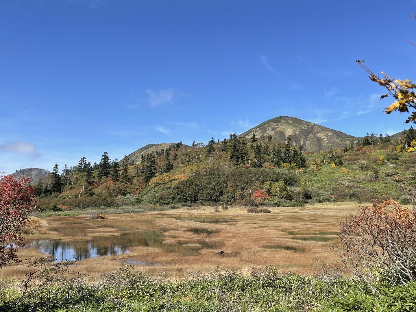 火打山 / megさんの妙高山・火打山の活動データ | YAMAP / ヤマップ