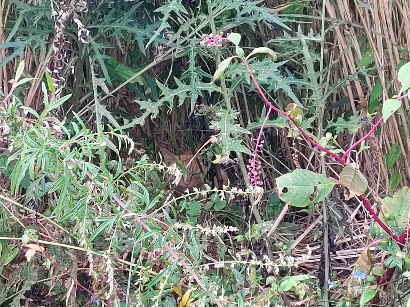 Keiさんの投稿したフィールドメモ | YAMAP / ヤマップ