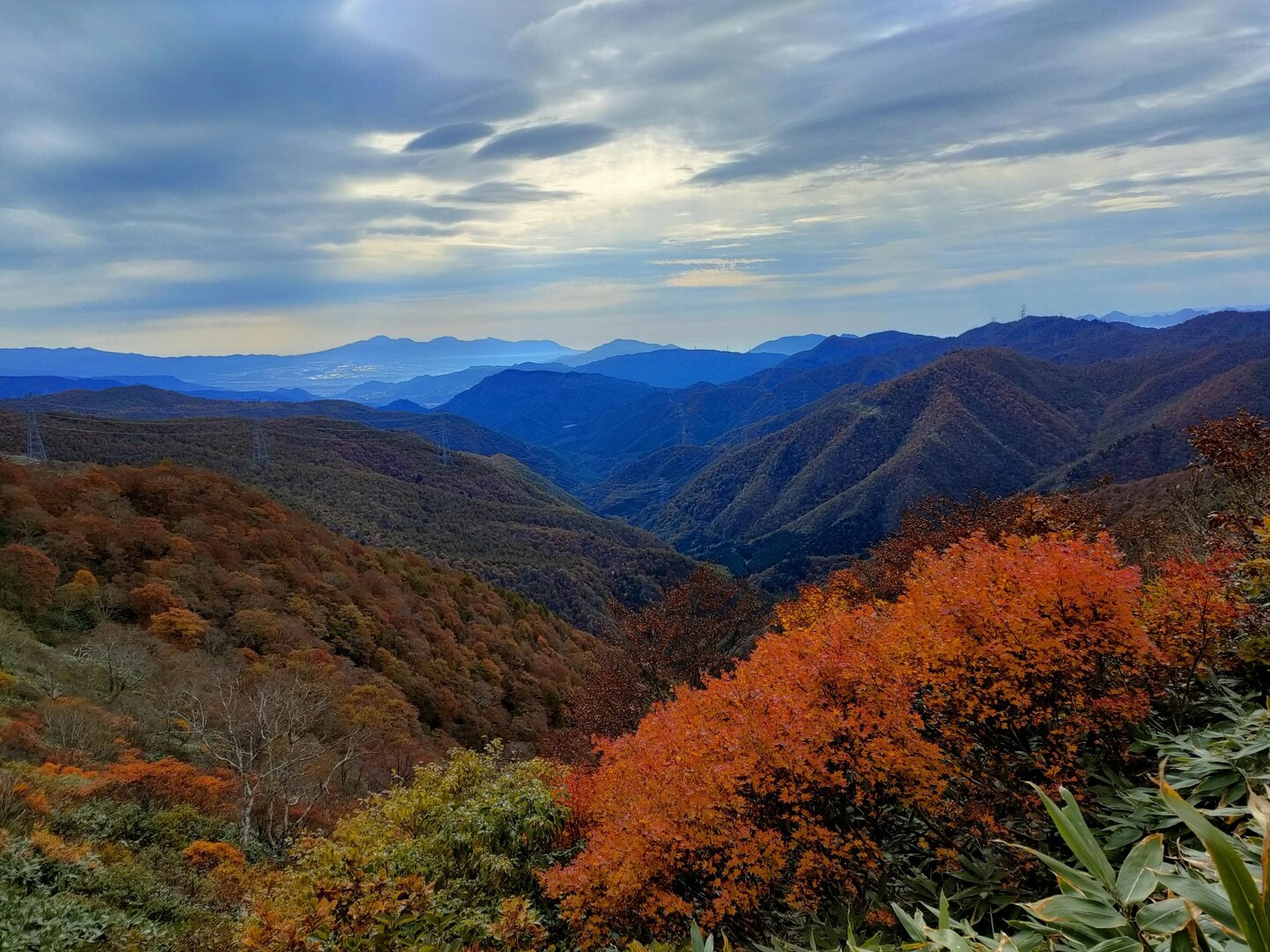 稲包山🍁 / gontaさんの稲包山・赤沢山の活動データ | YAMAP / ヤマップ
