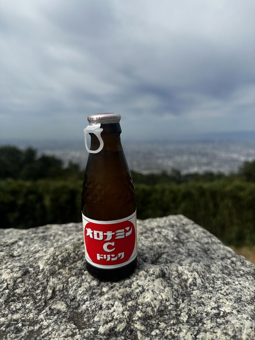 生駒全縦走TTT（高井田〜津田） / Ishigurosさんの生駒山・神津嶽・大原山の活動データ | YAMAP / ヤマップ