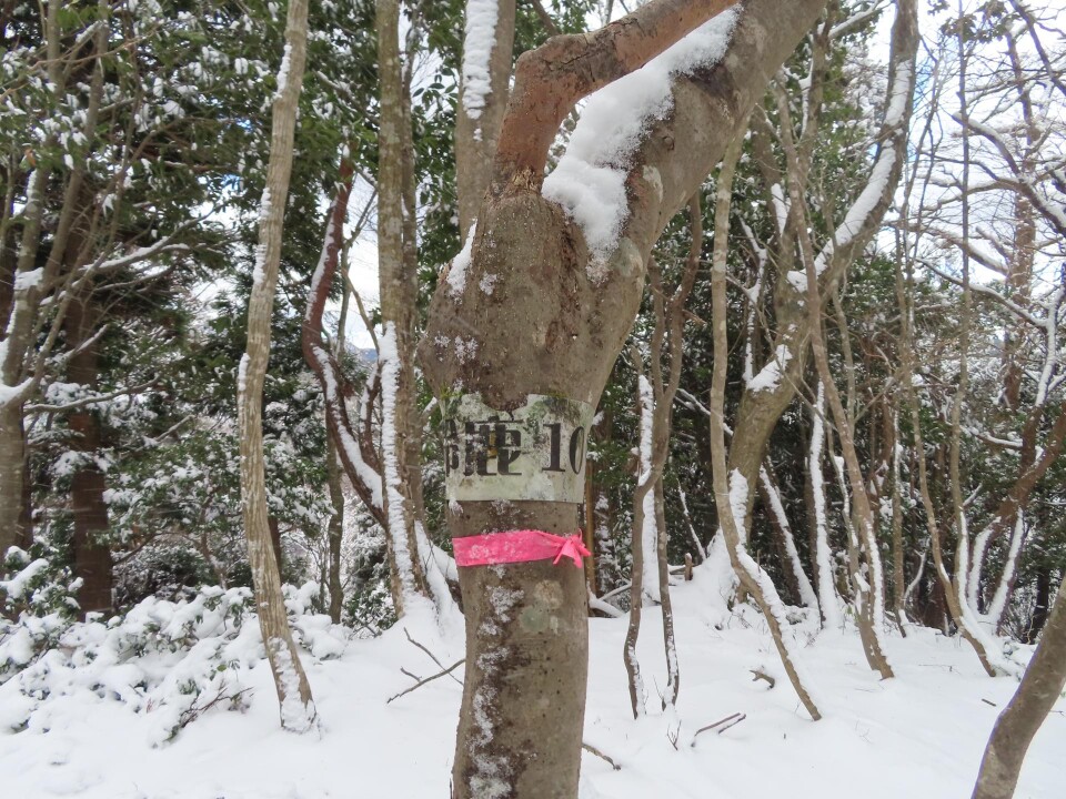 天狗堂-P924-サンヤリ 往復コースの地図・登山ルート・登山口情報 | YAMAP / ヤマップ