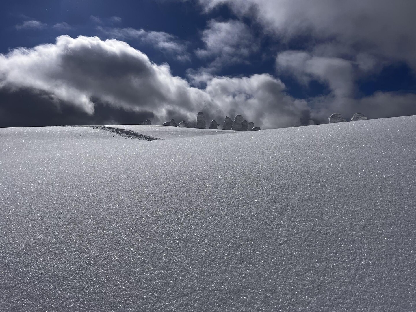 森吉山~53番•シンケタガリ~ / shunさんの森吉山の活動日記 | YAMAP / ヤマップ