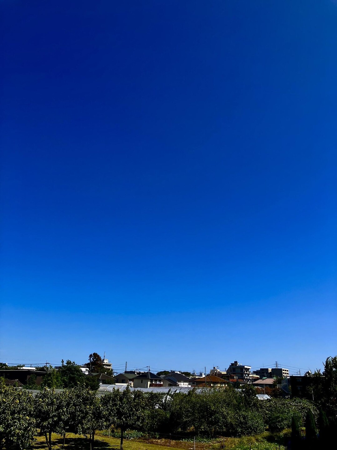 気がつけば、世間では三連休🗓️ 雲ひと... / tsukayan👨‍🦳さんのモーメント | YAMAP / ヤマップ