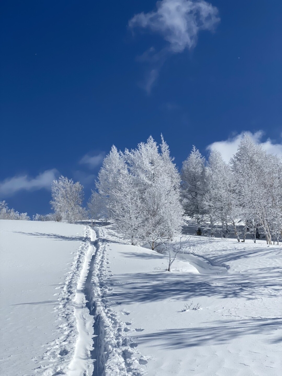 ファイト!!!*根子岳 / sarryさんの四阿山・根子岳の活動日記 | YAMAP / ヤマップ