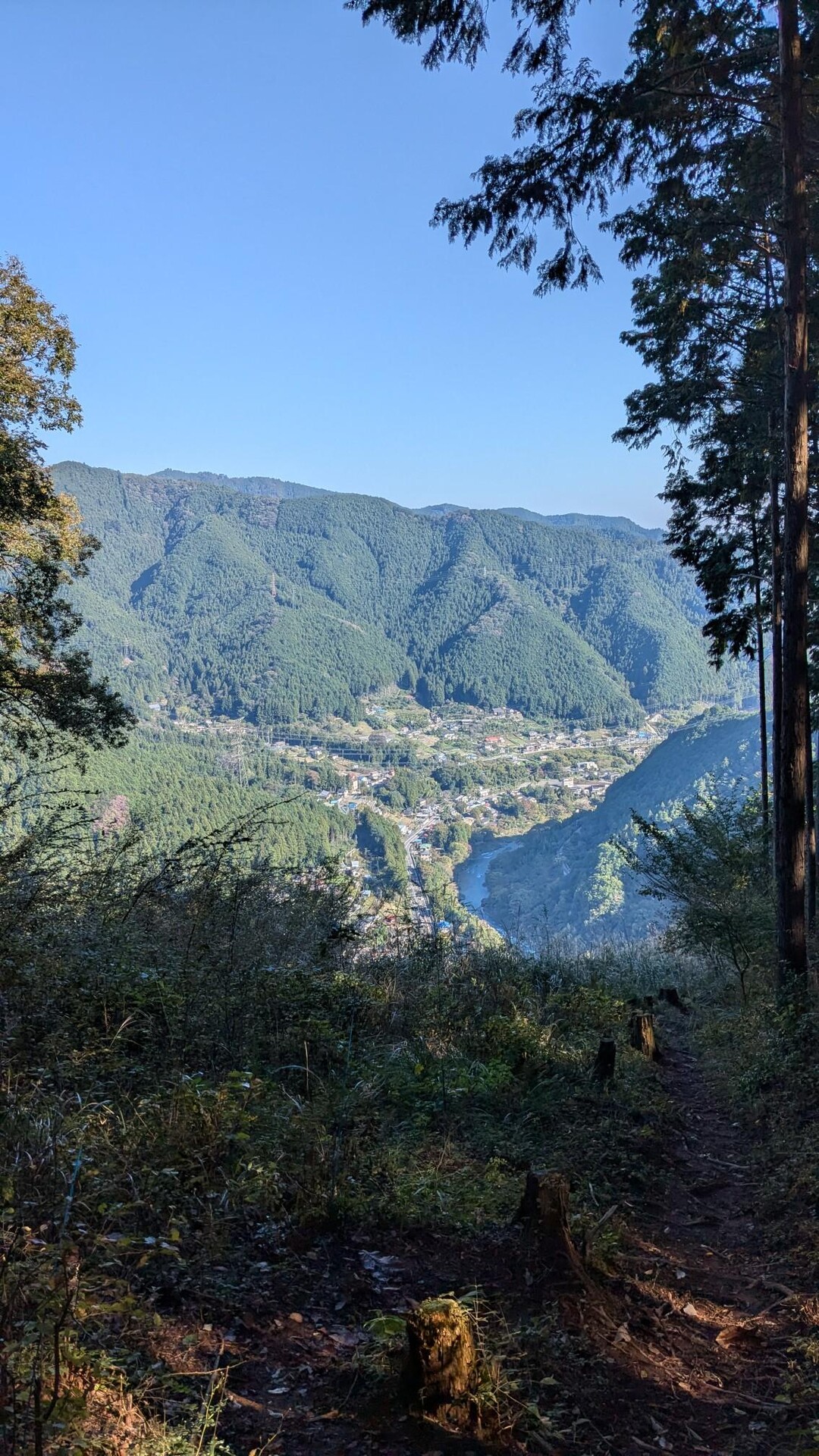 日の出山【LANI HEAD TRAIL】〜古里駅にGO！ / ともさん1976さんの大岳山・御岳山・御前山の活動データ | YAMAP / ヤマップ