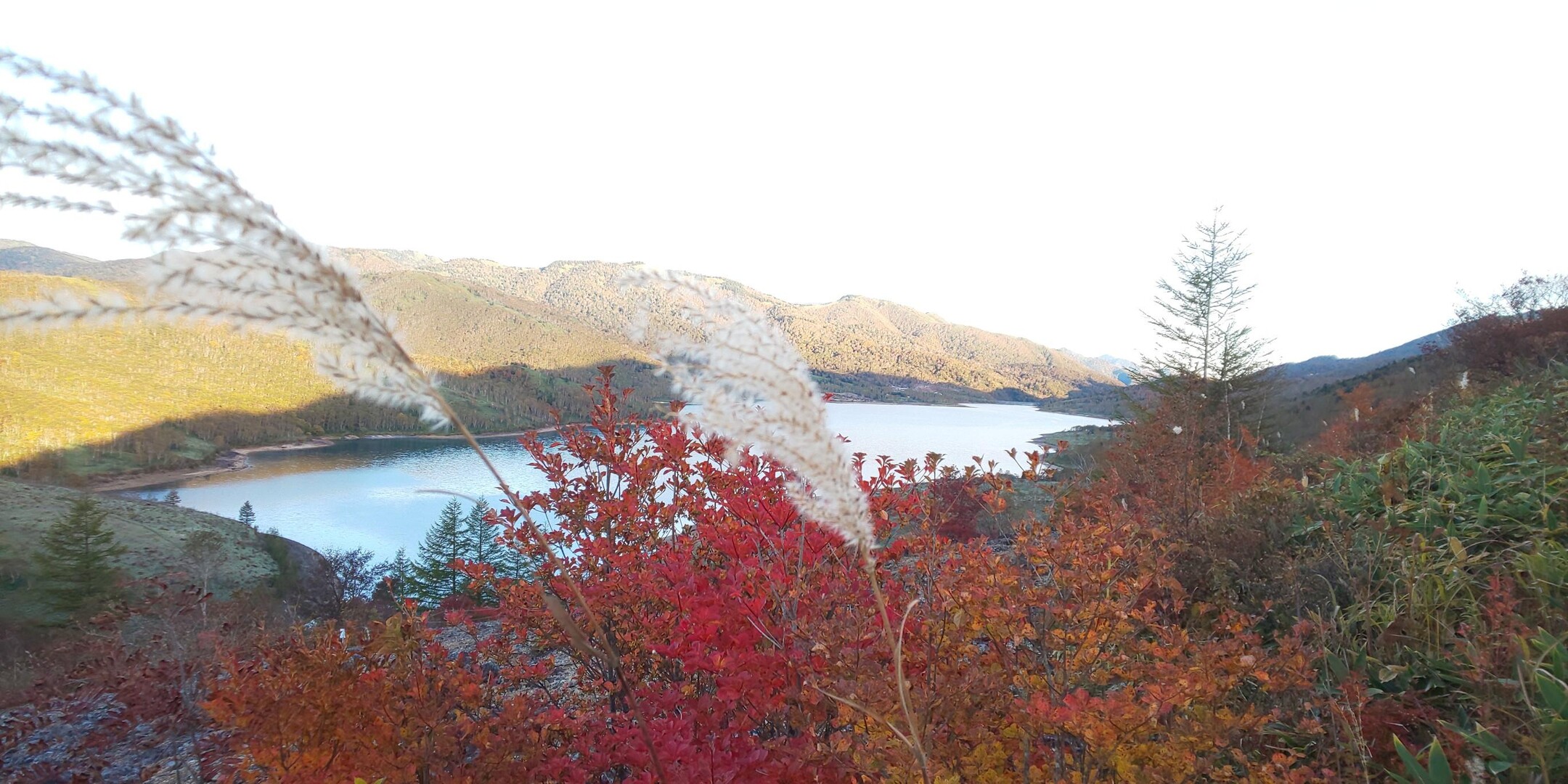 イカイワの頭・八間山 / kodaさんの白砂山・堂岩山・八間山の活動データ | YAMAP / ヤマップ