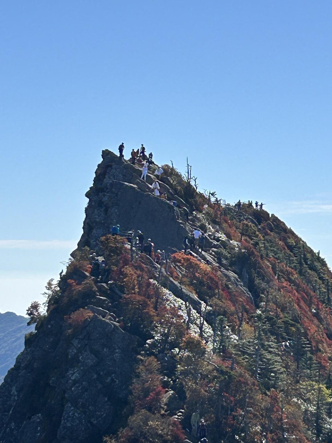 石鎚山⭐︎成就社ルート 2024.10.13 / hitomiさんの石鎚山・堂ヶ森・二ノ森の活動データ | YAMAP / ヤマップ