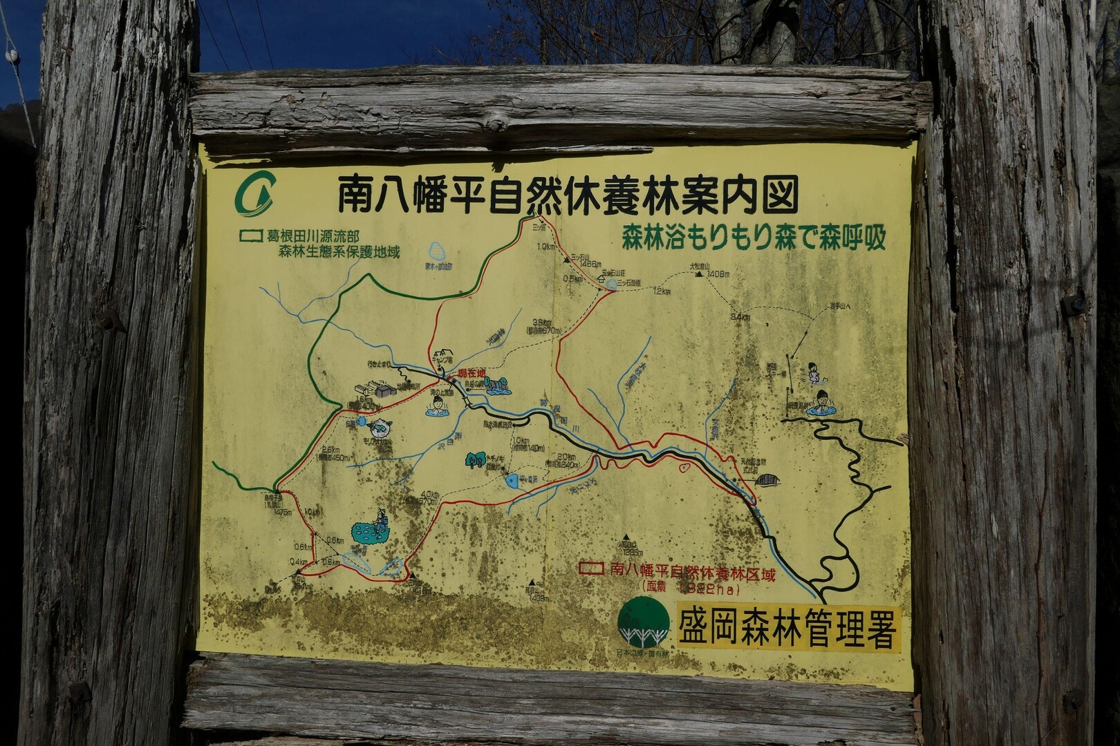 滝ノ上さんぽ / mirinさんの乳頭山・湯森山・大白森の活動データ | YAMAP / ヤマップ