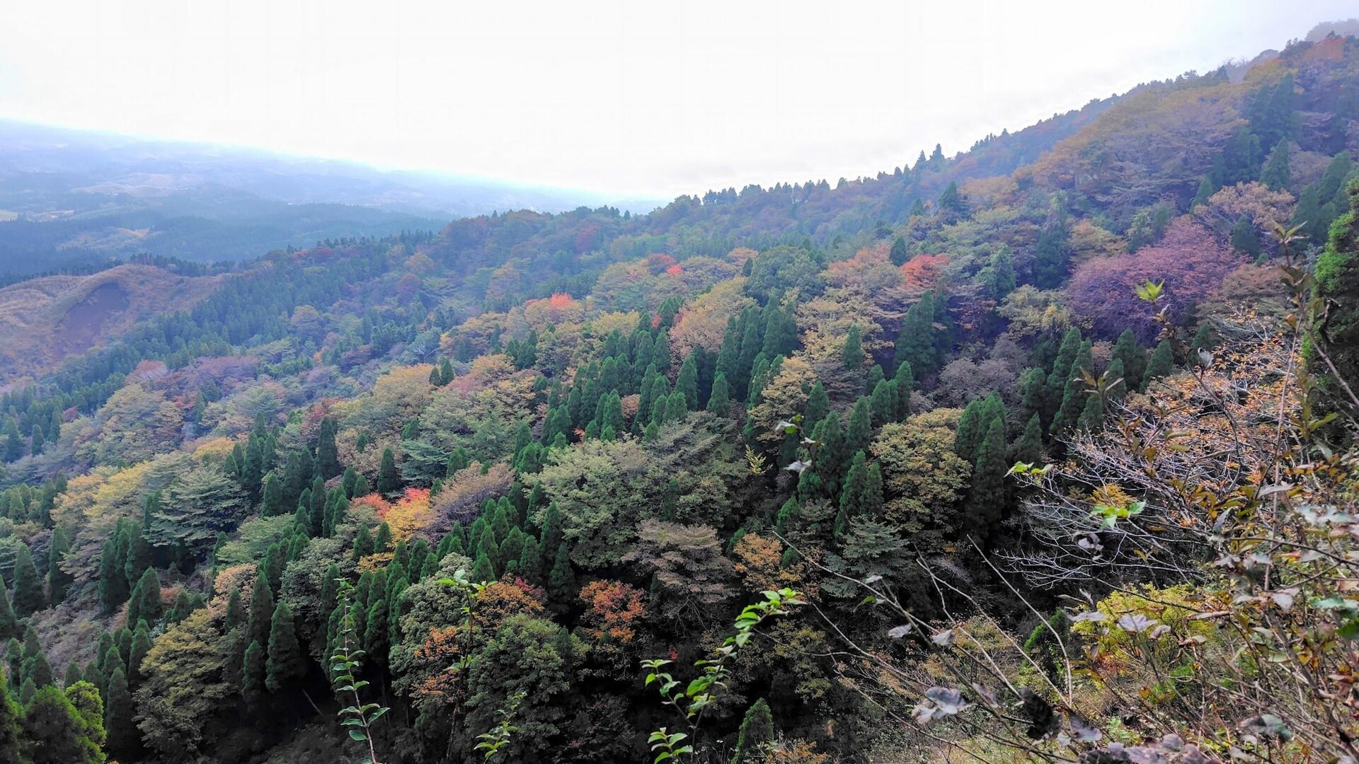 根子岳東峰 / Emily (咲梨) 𖤣𖥧𖥣｡𓂃𓈒さんの阿蘇山・高岳・根子岳の活動データ | YAMAP / ヤマップ