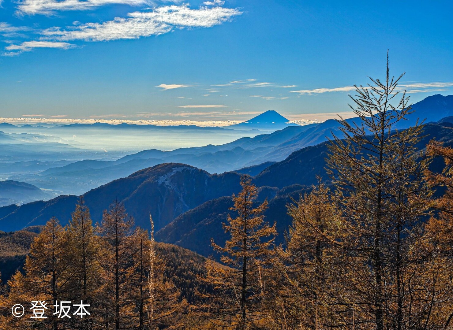 雨乞岳 リベンジ / nobo1274さんの雨乞岳の活動データ | YAMAP / ヤマップ