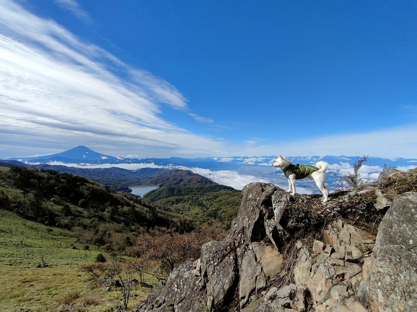 大菩薩嶺・妙見ノ頭 / Taka.Oneさんの大菩薩嶺・鶏冠山・大マテイ山の活動データ | YAMAP / ヤマップ