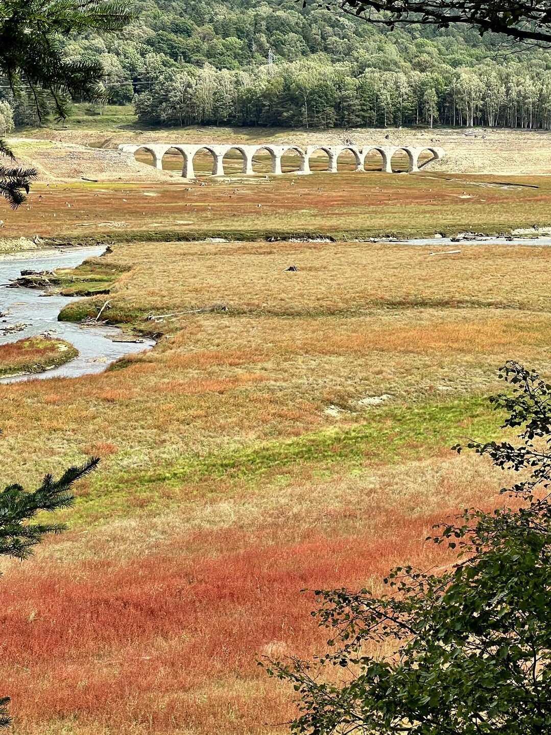 もうそろそろ秋色かなぁ / Bii&Guunさんのモーメント | YAMAP / ヤマップ