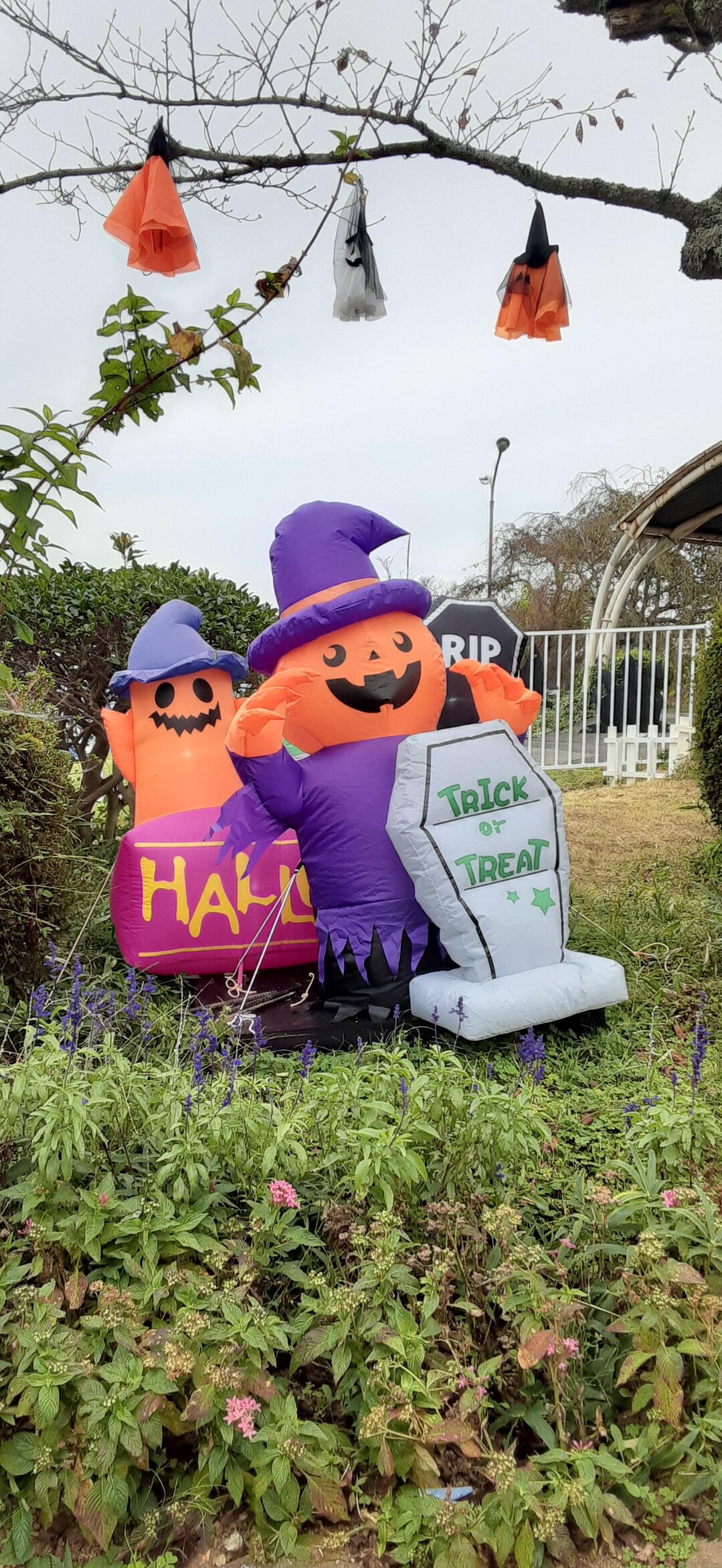 いこいこ通信vol.12 / ニシヒデさんの生駒山・神津嶽・大原山の活動日記 | YAMAP / ヤマップ