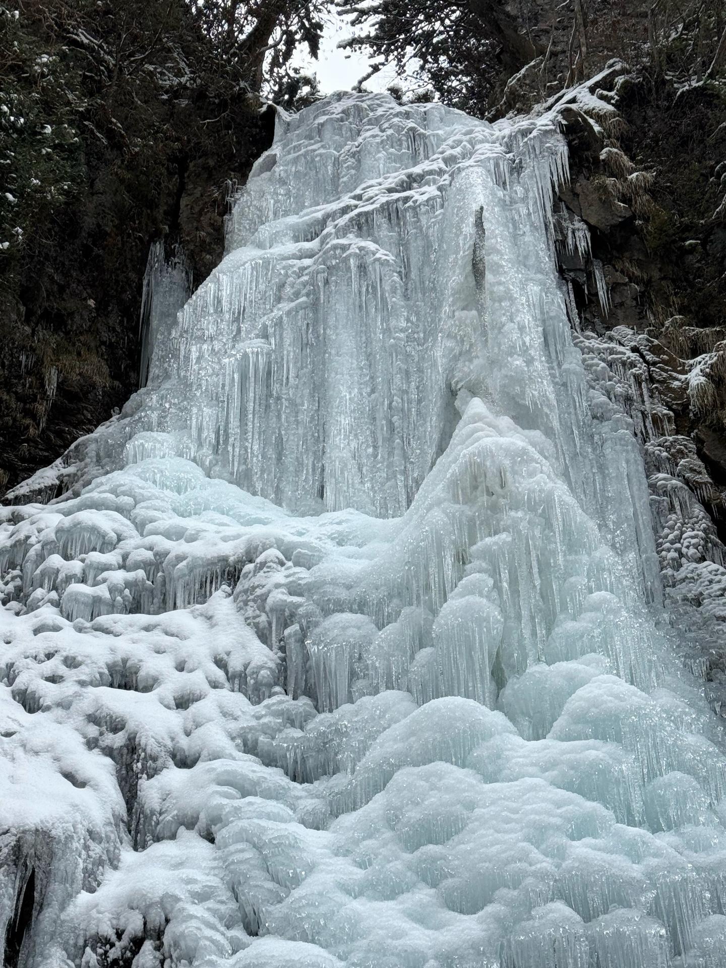 御船の滝 最大級の氷瀑🧊🩵 / michichiさんの白屋岳の活動データ | YAMAP / ヤマップ