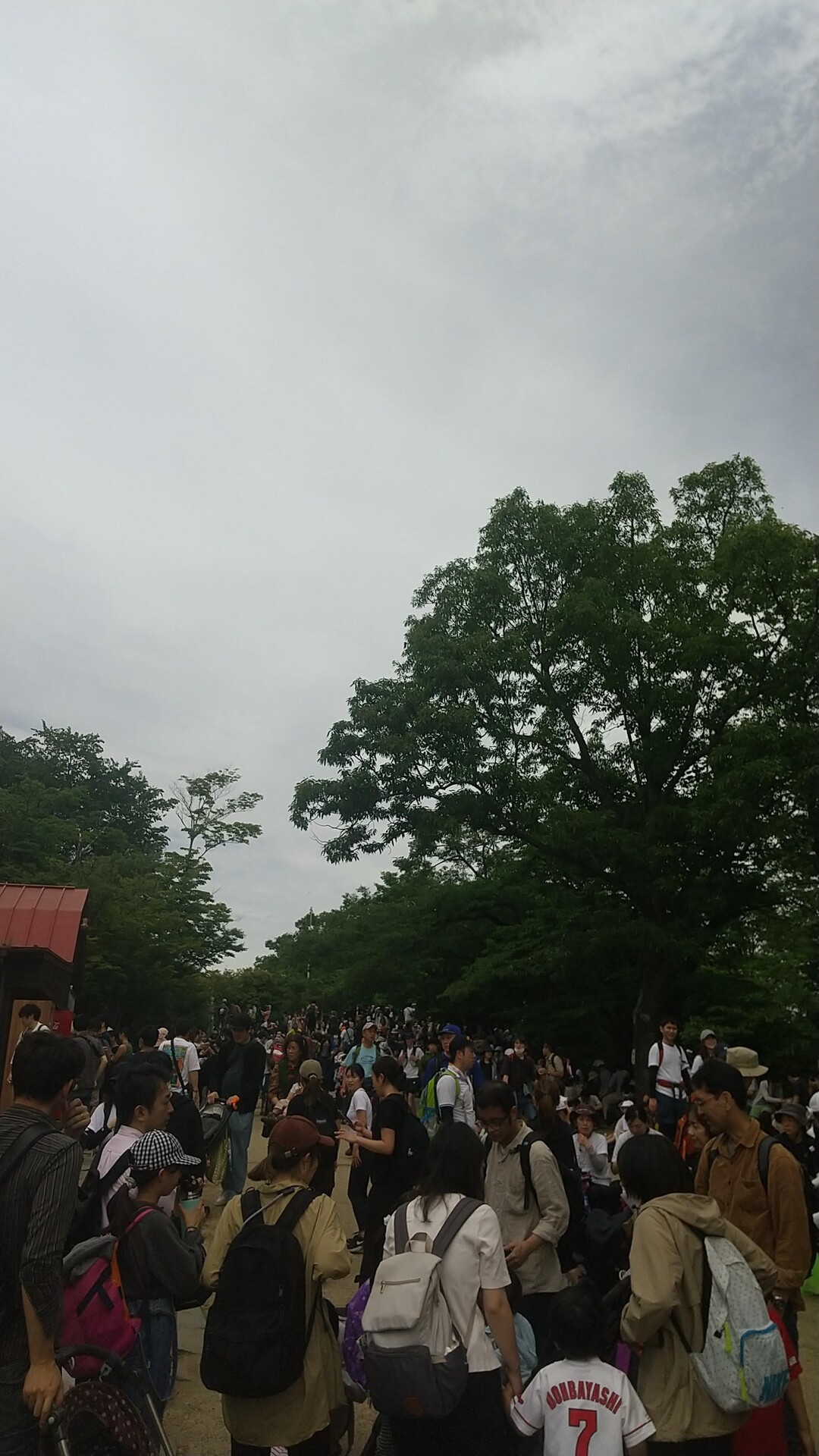 取り急ぎ本日お昼の高尾山 / mtkumiさんのモーメント | YAMAP / ヤマップ