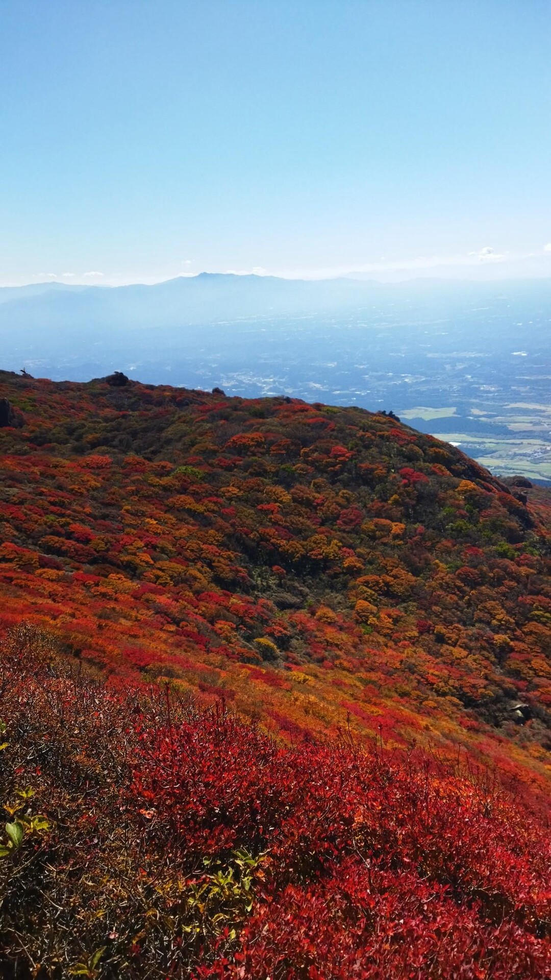1年前の霧と雨の中の大船山から、今年は秋... / gongonさんのモーメント | YAMAP / ヤマップ