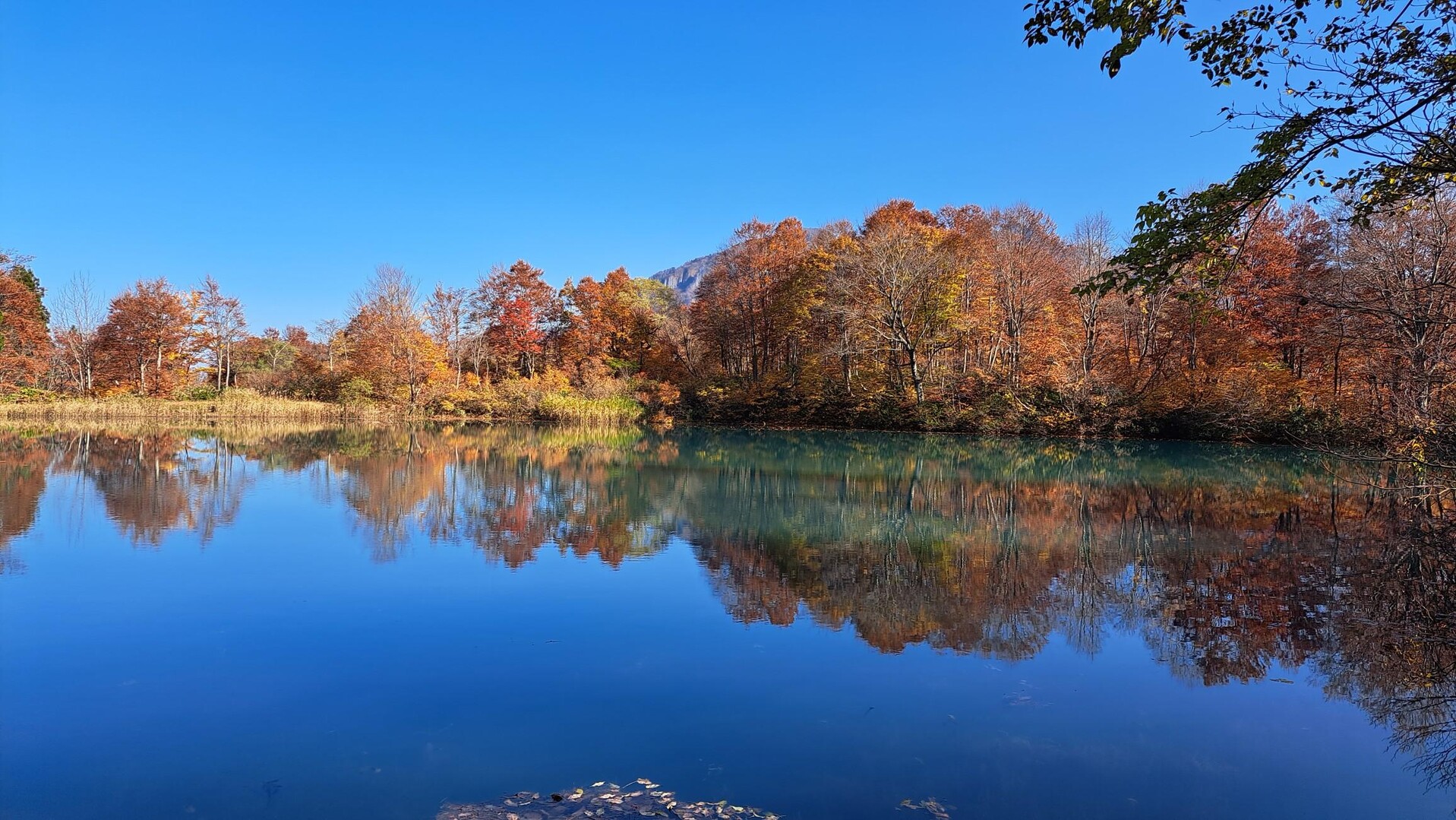 「戸倉山」紅葉🍁を満喫‼️ / チャコパパさんの駒ヶ岳の活動データ | YAMAP / ヤマップ