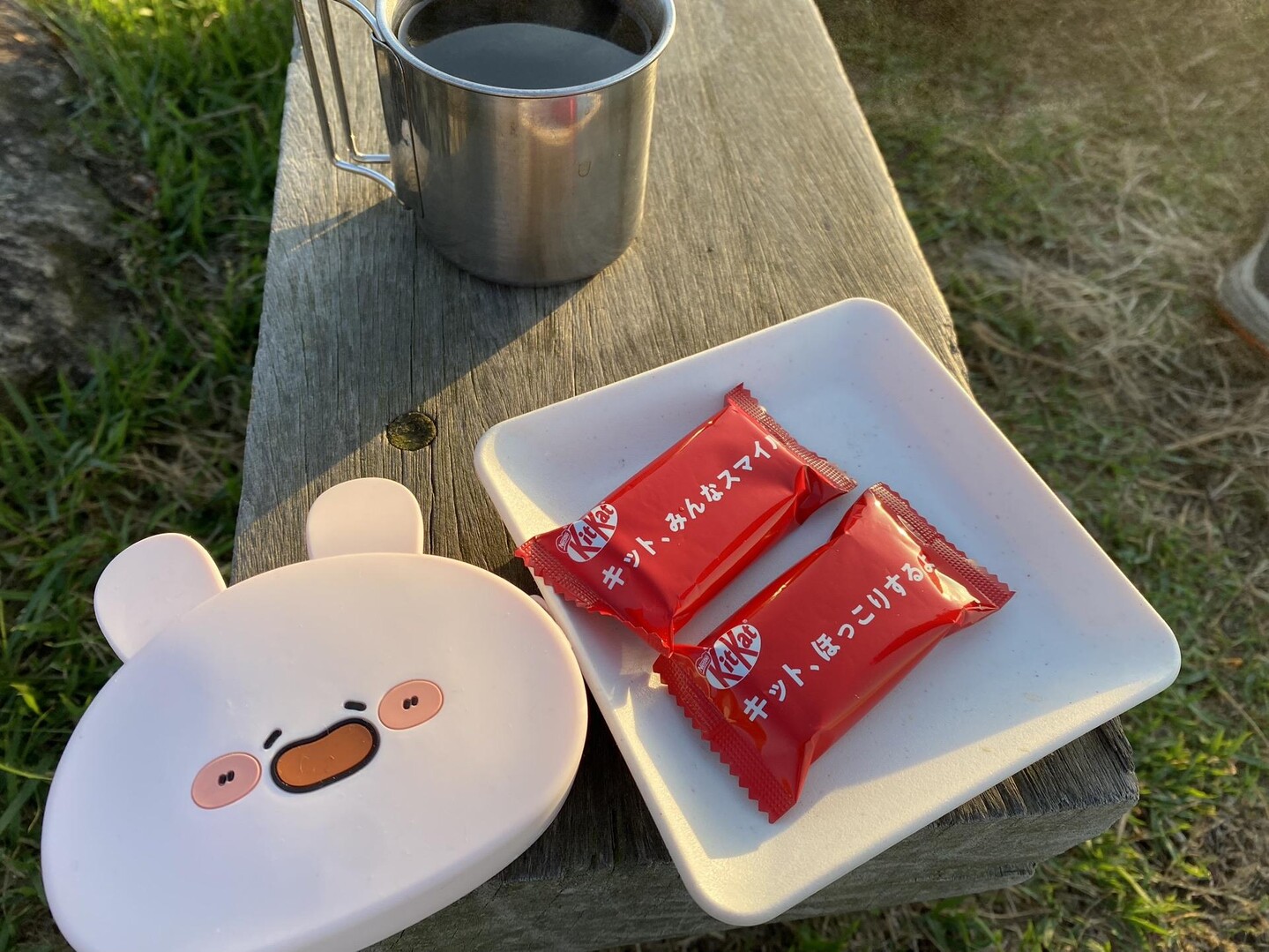 GW2日目 ️檀特山 / こんぺいとうさんの京見山・檀特山・朝日山の活動データ | YAMAP / ヤマップ