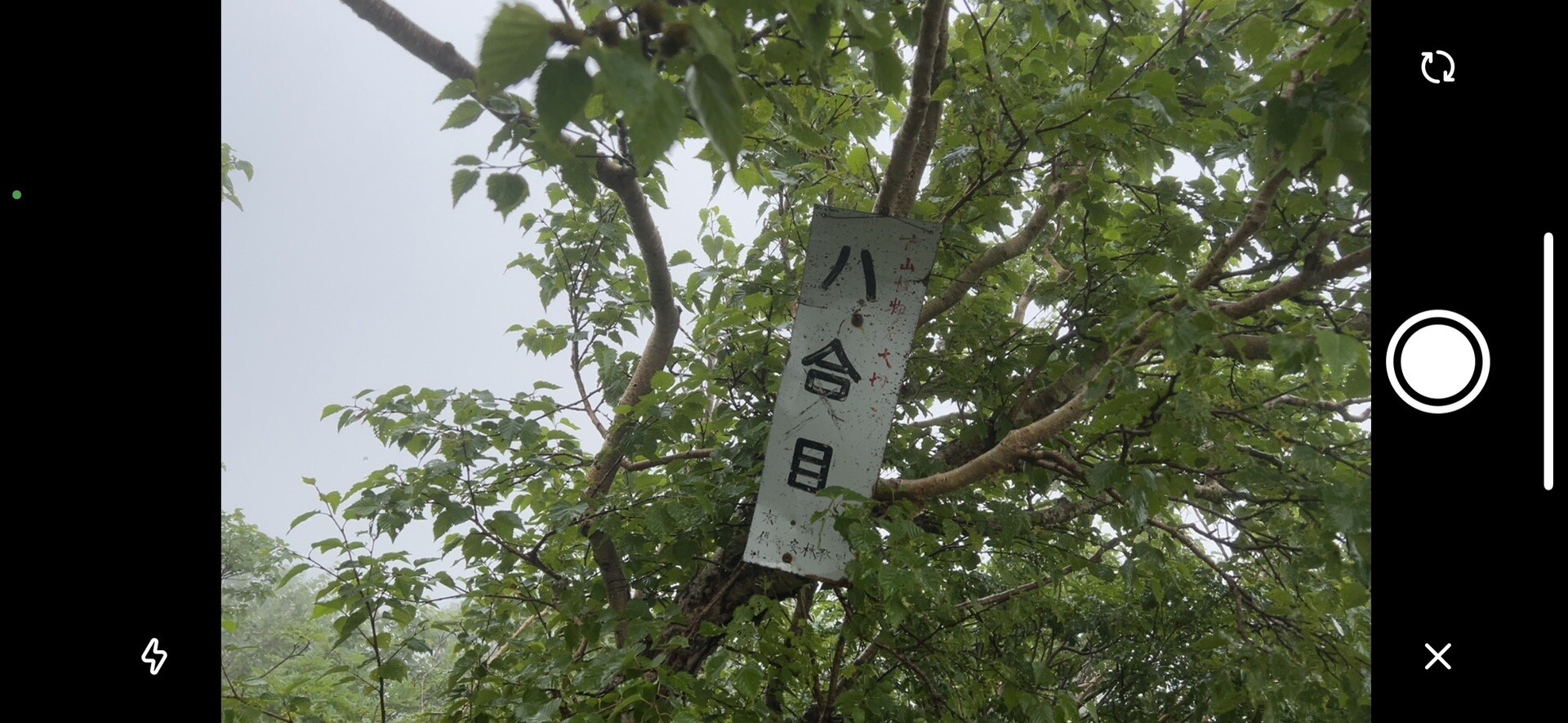 shuさんの投稿したフィールドメモ | YAMAP / ヤマップ