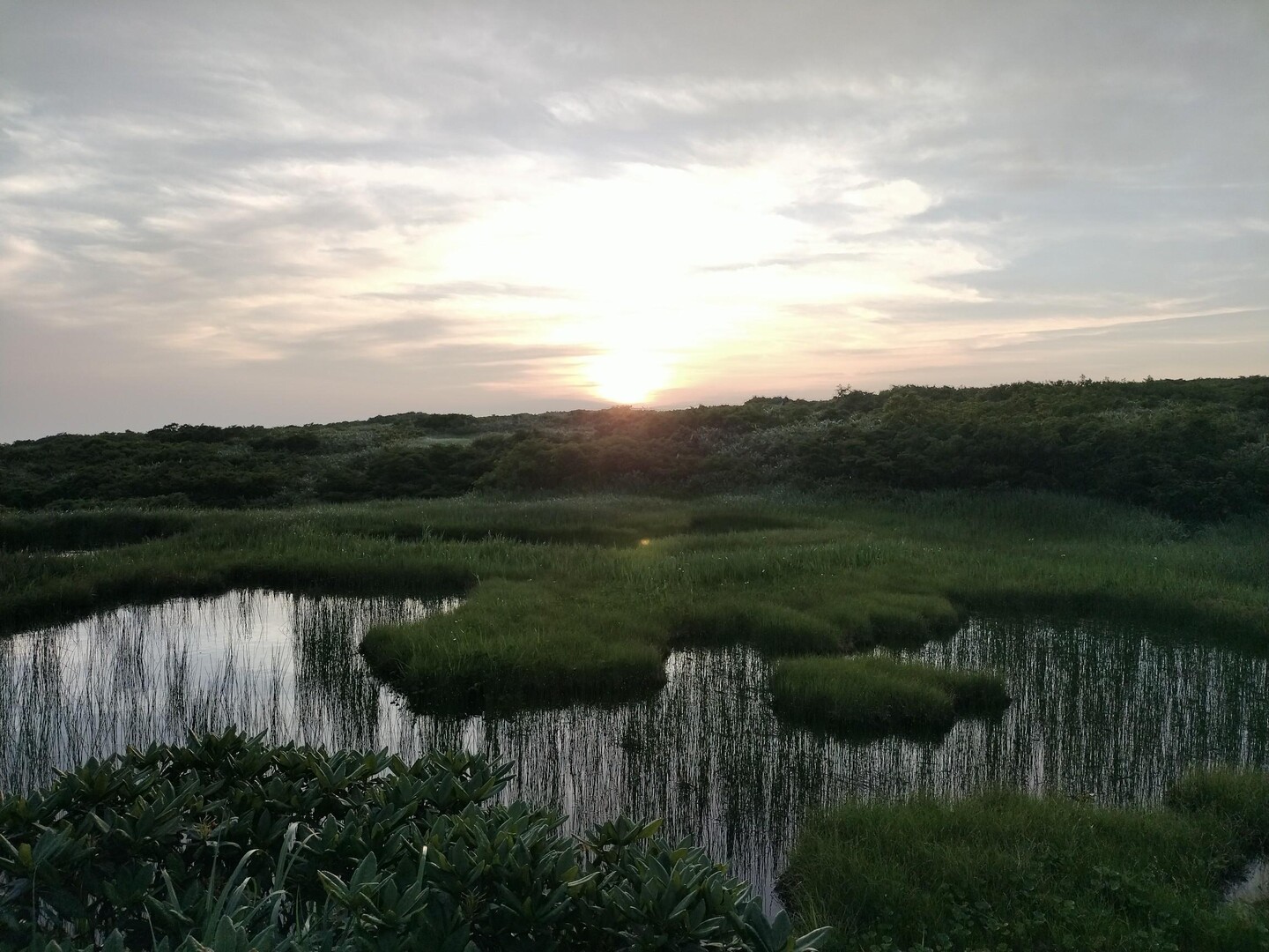 卯歳御縁年 再訪月山 / drumscoさんの月山の活動データ | YAMAP / ヤマップ