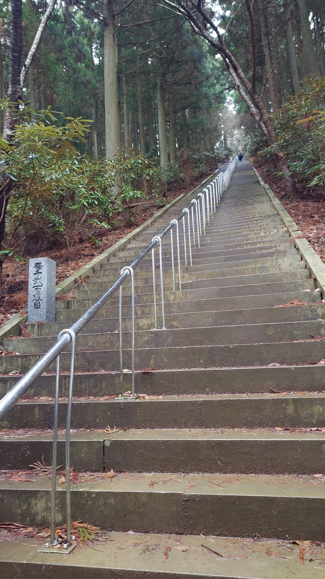日本一の3333段の石段〜大行寺山と釈迦... / ヤマさんのモーメント | YAMAP / ヤマップ