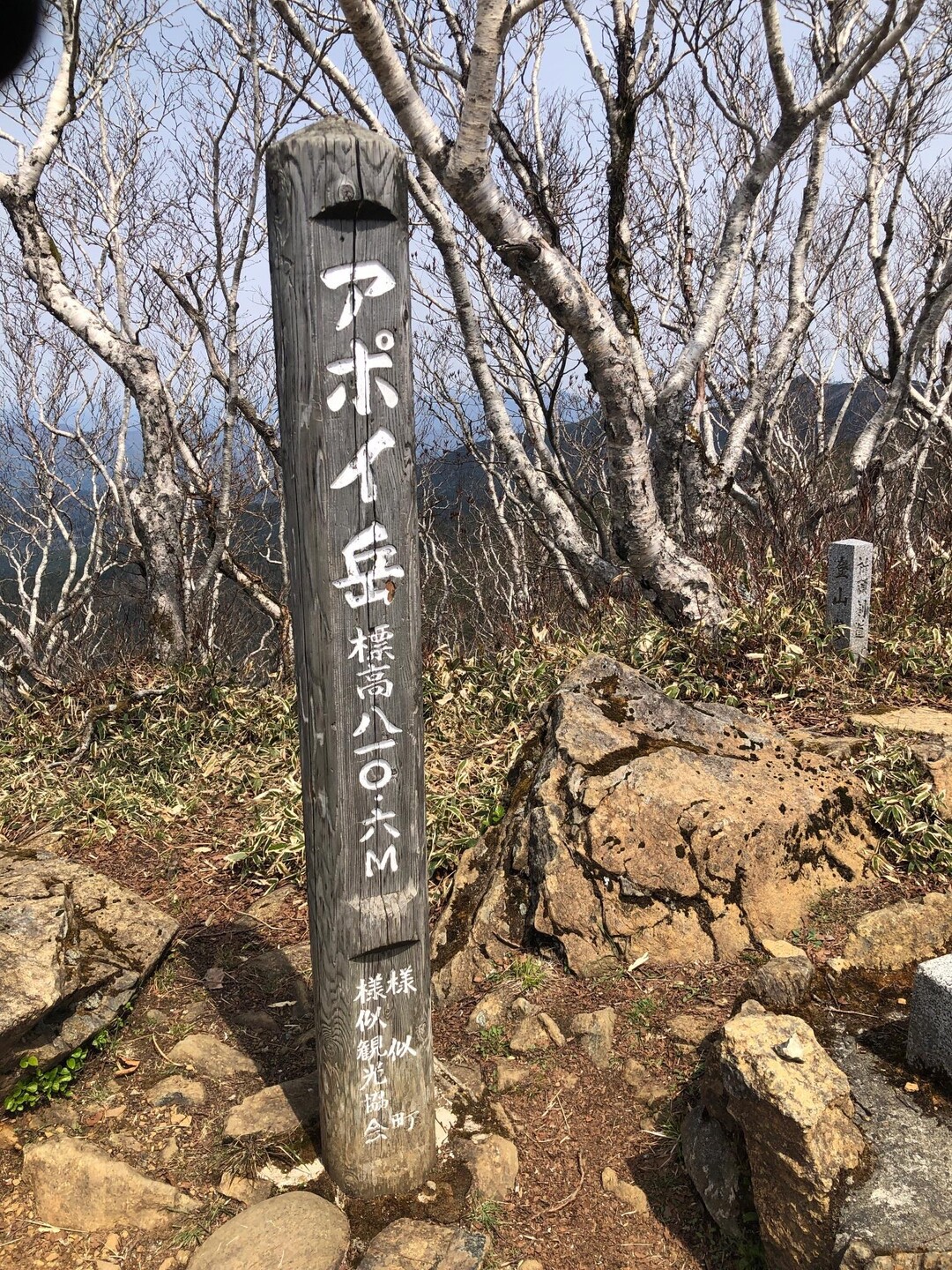 アポイ岳 / mura muraさんのアポイ岳の活動データ | YAMAP / ヤマップ