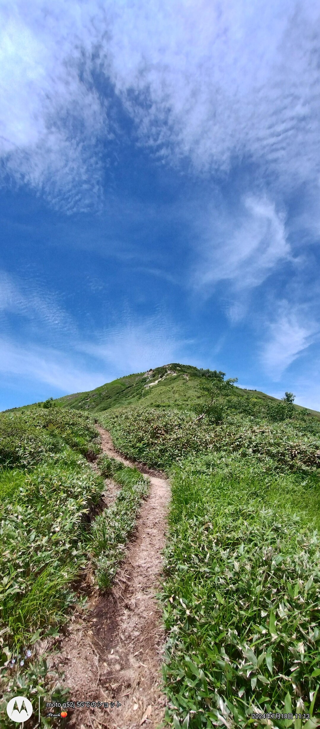 下台倉山・台倉山・池ノ岳・平ヶ岳 / 🌈𝓹𝓮𝓪𝓬𝓱🍑さんの平ヶ岳・台倉山・池ノ岳の活動データ | YAMAP / ヤマップ