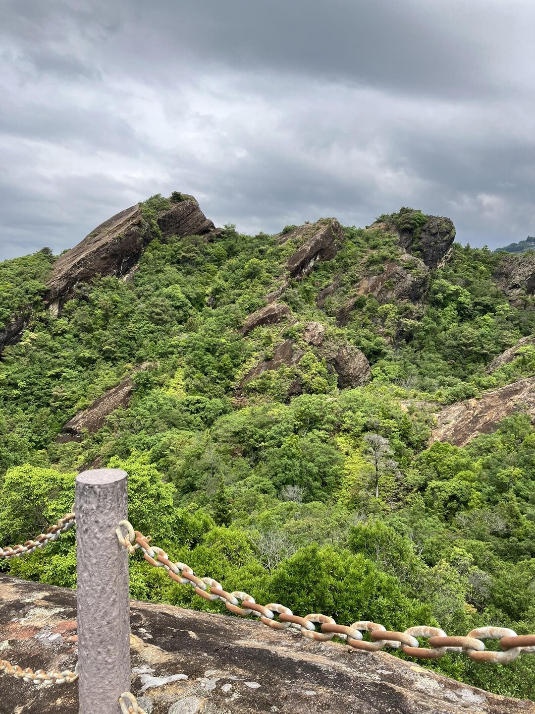 🐸田辺市・ひき岩群-2024-06-02 / K-TAさんの田辺市・高尾山・龍神山・奇絶峡の活動データ | YAMAP / ヤマップ