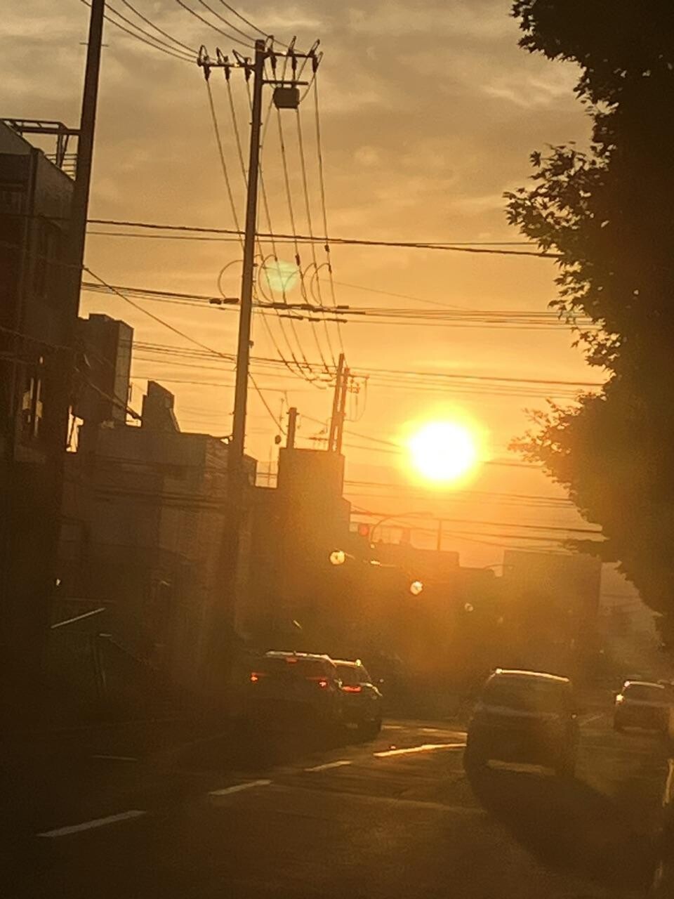 ピッカリMt.がフォローしているユーザー一覧 | YAMAP / ヤマップ