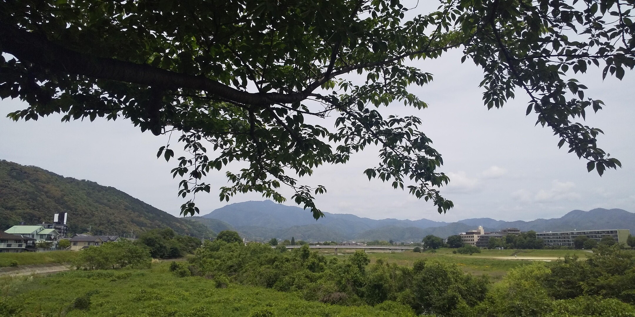 RUN 六丁峠 / えいとうっどさんのランニングの活動データ | YAMAP / ヤマップ