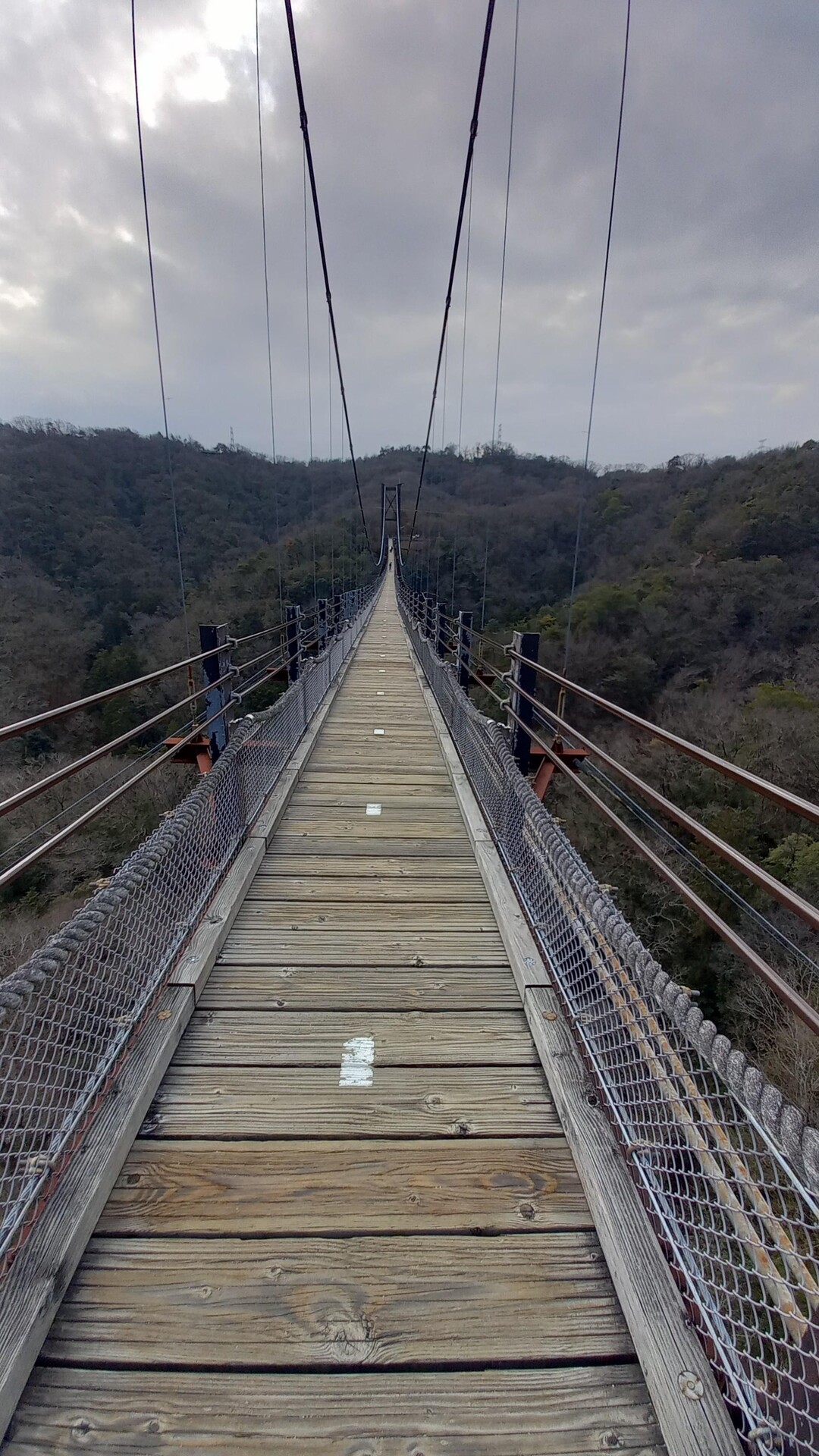 星田60座に挑戦&400座踏破 ️ / Yoyoさんの交野山・国見山の活動データ | YAMAP / ヤマップ