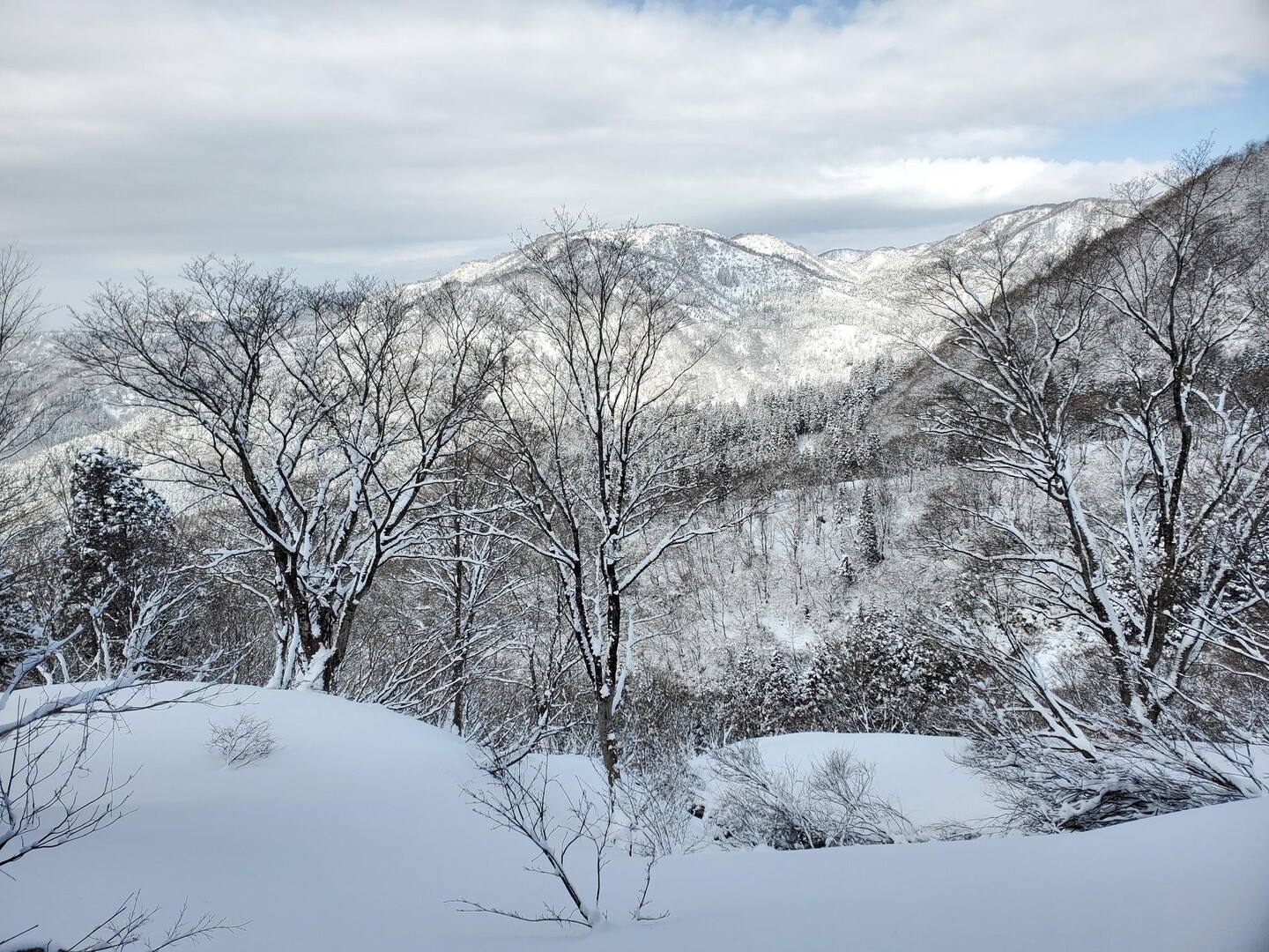 護摩堂山 / mioさんの取立山の活動データ | YAMAP / ヤマップ