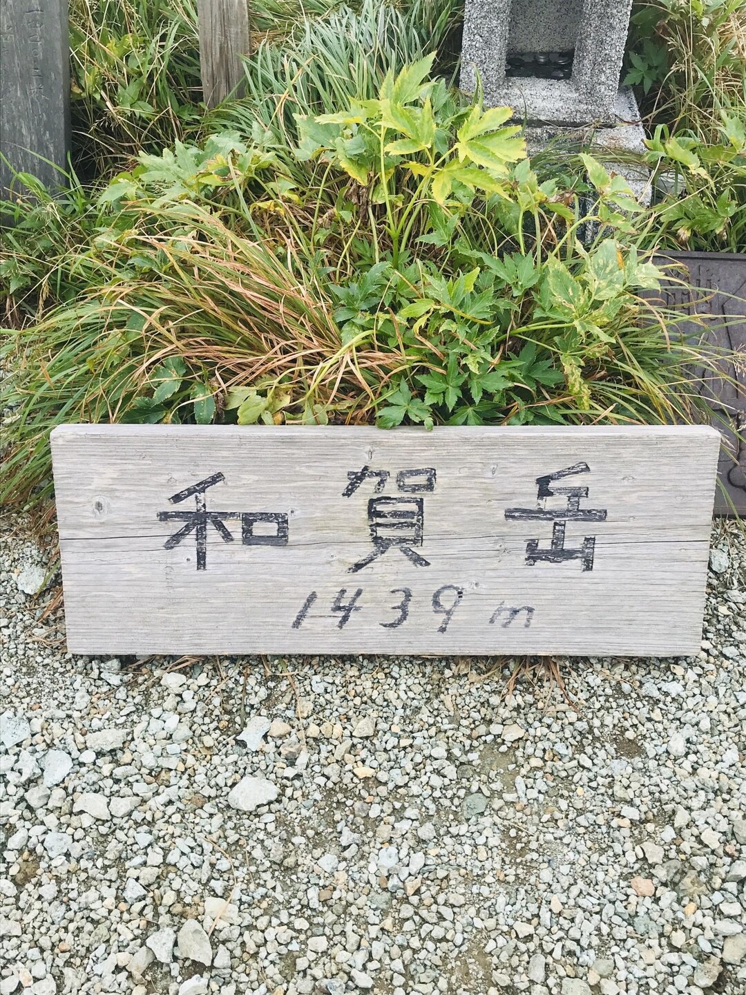 和賀岳（200名山） / 文太郎さんの和賀岳・薬師岳・高下岳の活動日記 | YAMAP / ヤマップ