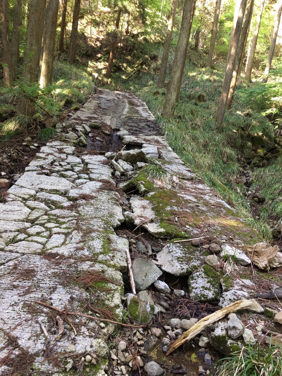 ninoさんの投稿したフィールドメモ | YAMAP / ヤマップ