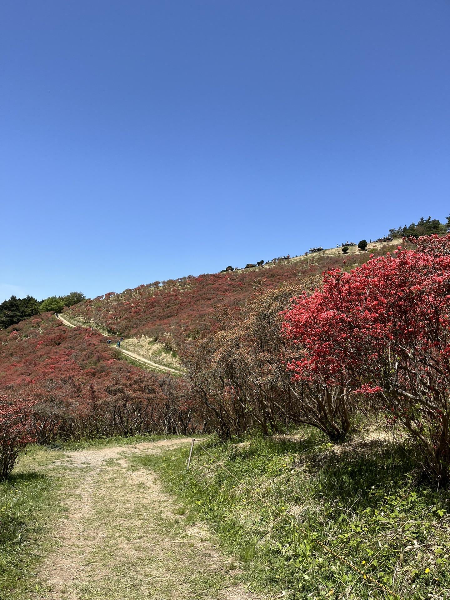 勝手にグランドダイヤモンドトレイルは紀見峠駅でDNF😅 / サイサイさんの金剛山・二上山・大和葛城山の活動データ | YAMAP / ヤマップ