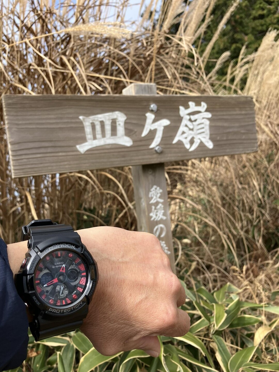 皿ヶ嶺に登った帰り道、コスモス畑が見えた... / fusaさんのモーメント | YAMAP / ヤマップ