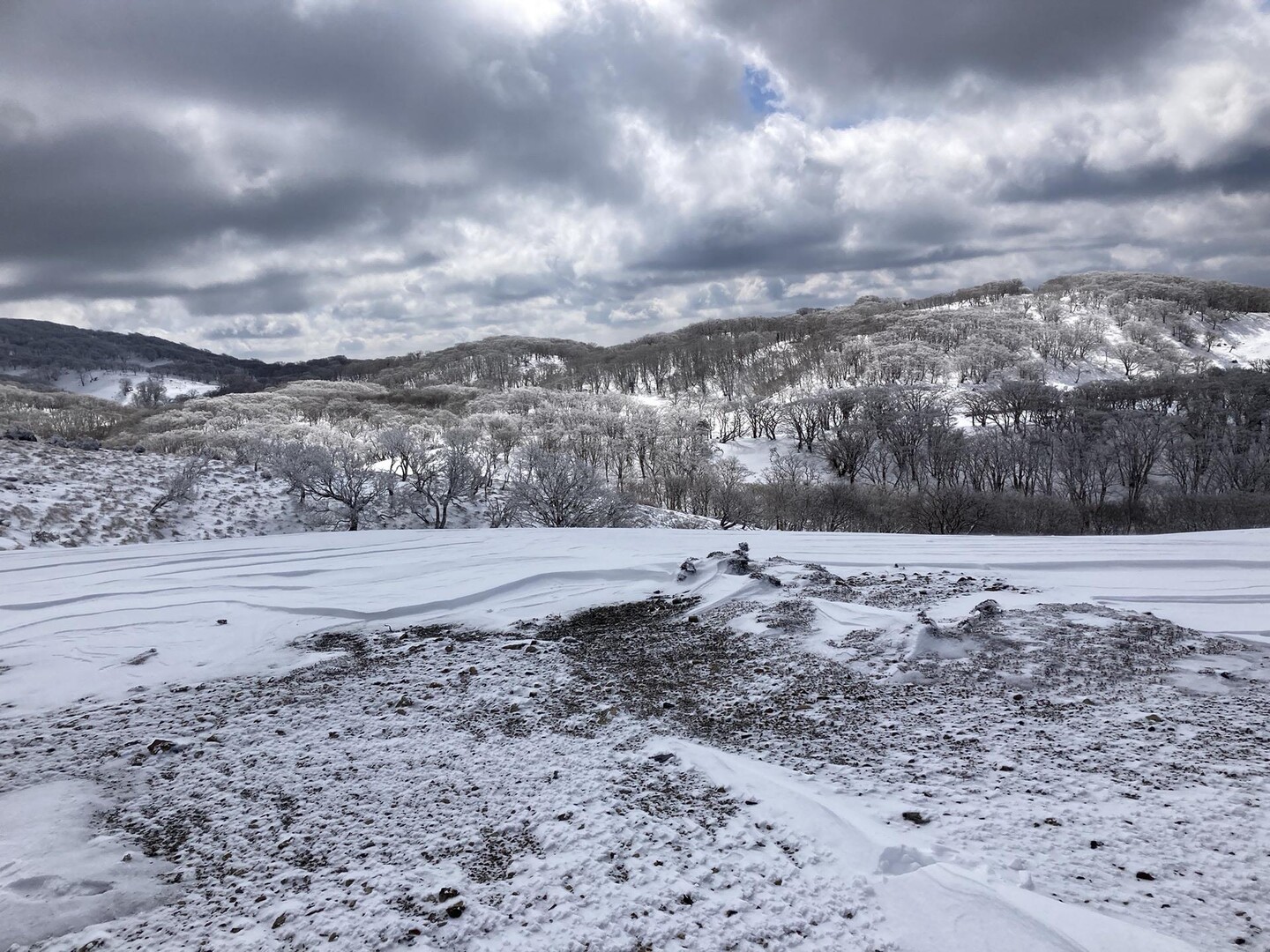 シロイロノセカイ 茶野・鈴ヶ岳・鈴北岳・御池岳 / you-ki ゆうきさんの藤原岳・御池岳の活動データ | YAMAP / ヤマップ