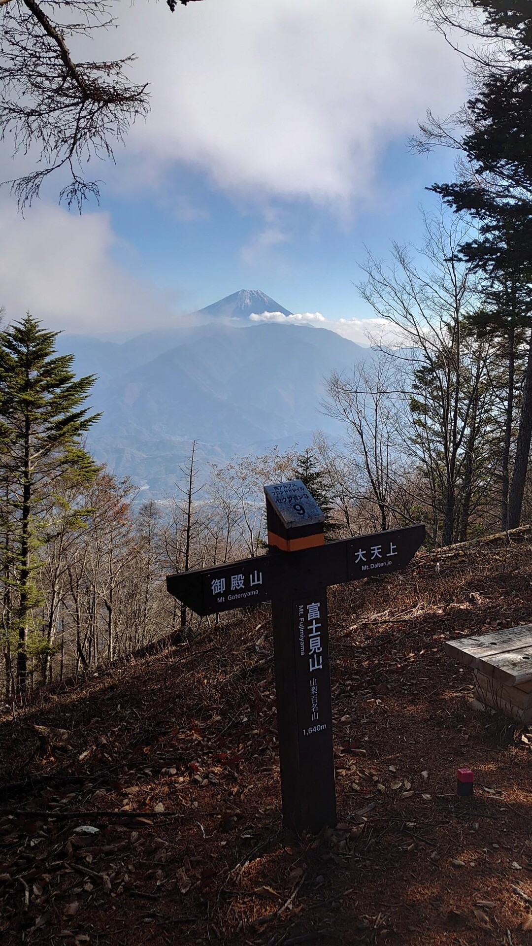 富士見山 / zzzさんの富士見山・御殿山の活動データ | YAMAP / ヤマップ