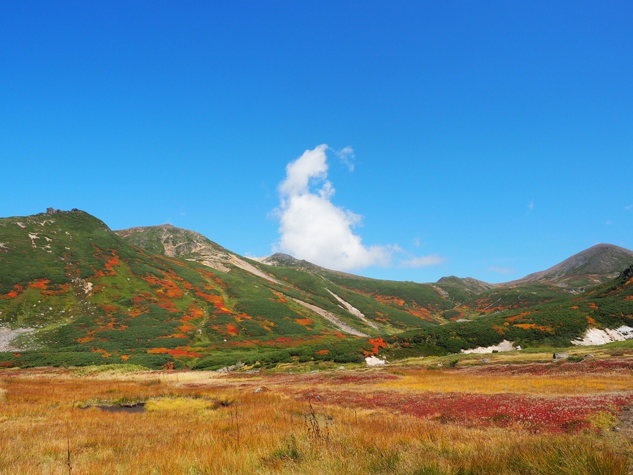 くるっと旭岳♪ 紅葉🍁version！ / rucolaさんの大雪山系・旭岳・トムラウシの活動日記 | YAMAP / ヤマップ
