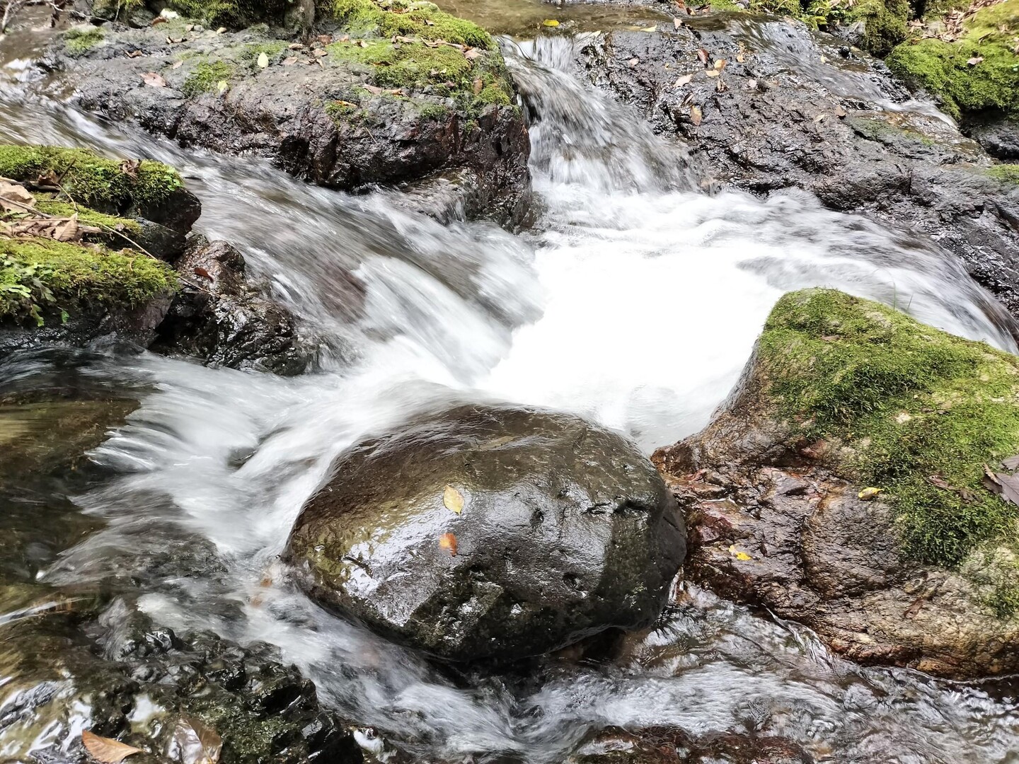百里ヶ岳（小入谷〜木地山） / hi-santさんの百里ヶ岳・三国岳の活動データ | YAMAP / ヤマップ
