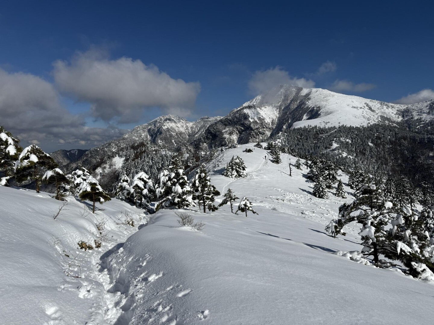 堂ヶ森 / kojiさんの石鎚山・堂ヶ森・二ノ森の活動データ | YAMAP / ヤマップ