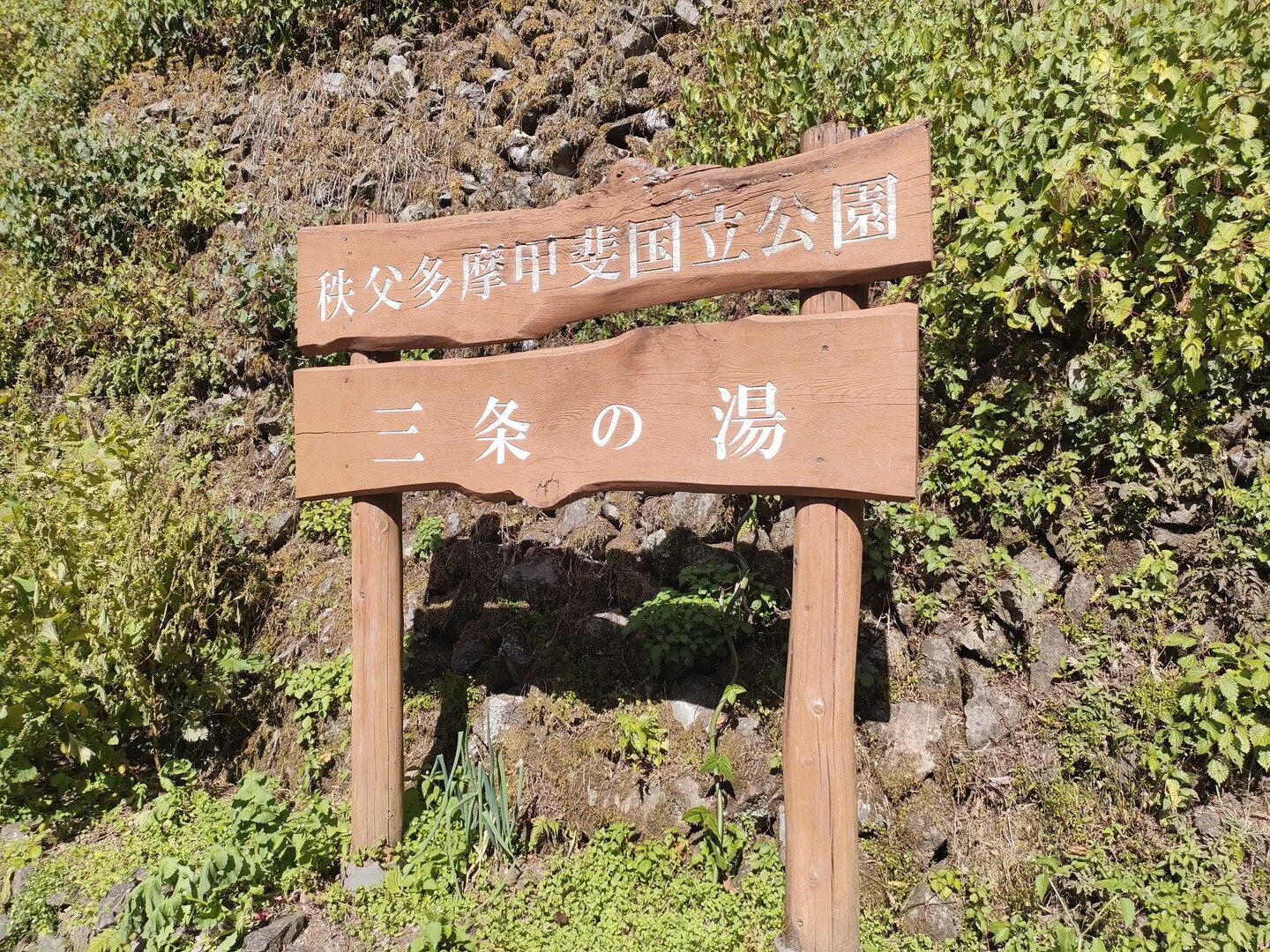 飛龍山（大洞山） / masaさんの雲取山・鷹ノ巣山・七ツ石山の活動データ | YAMAP / ヤマップ