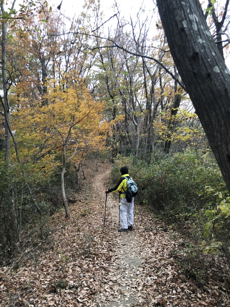 nonboのページ | YAMAP / ヤマップ