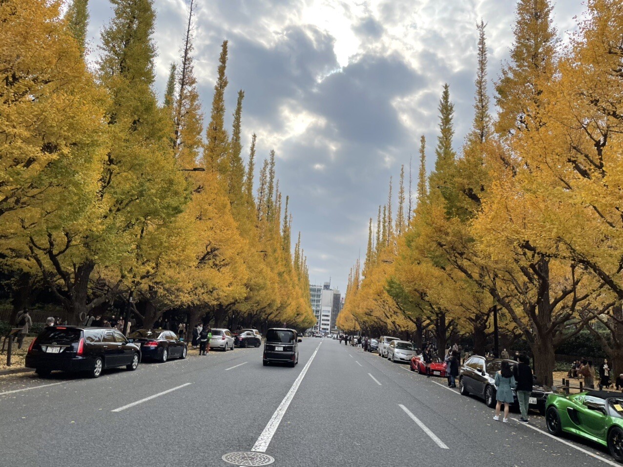 外苑前の銀杏並木がピーク寸前です。丸の内... / houjinoさんのモーメント | YAMAP / ヤマップ