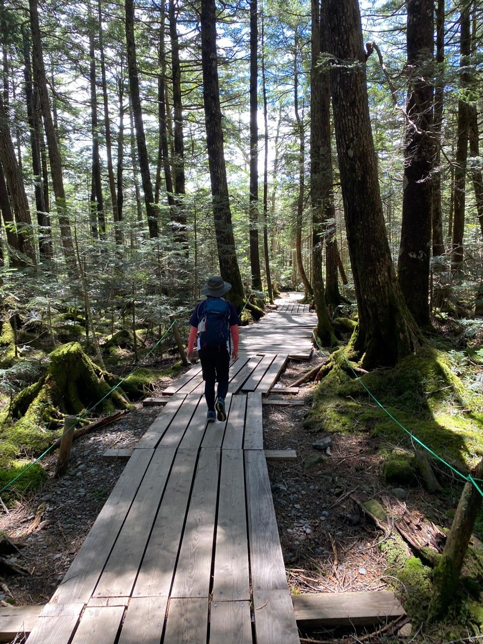 あちゃこどんのページ | YAMAP / ヤマップ