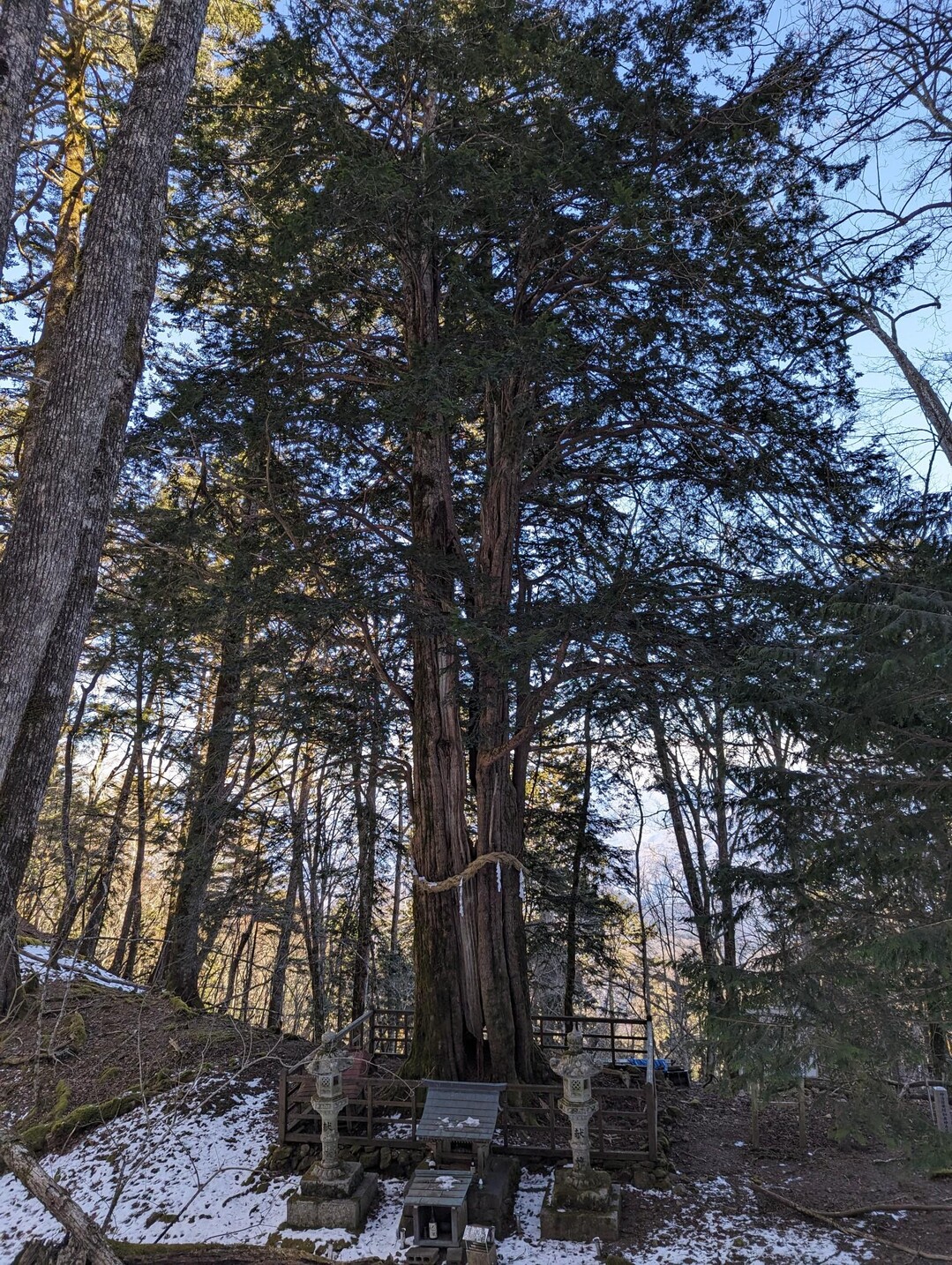 七面山・希望峰 / ko-riさんの七面山・身延山の活動データ | YAMAP / ヤマップ