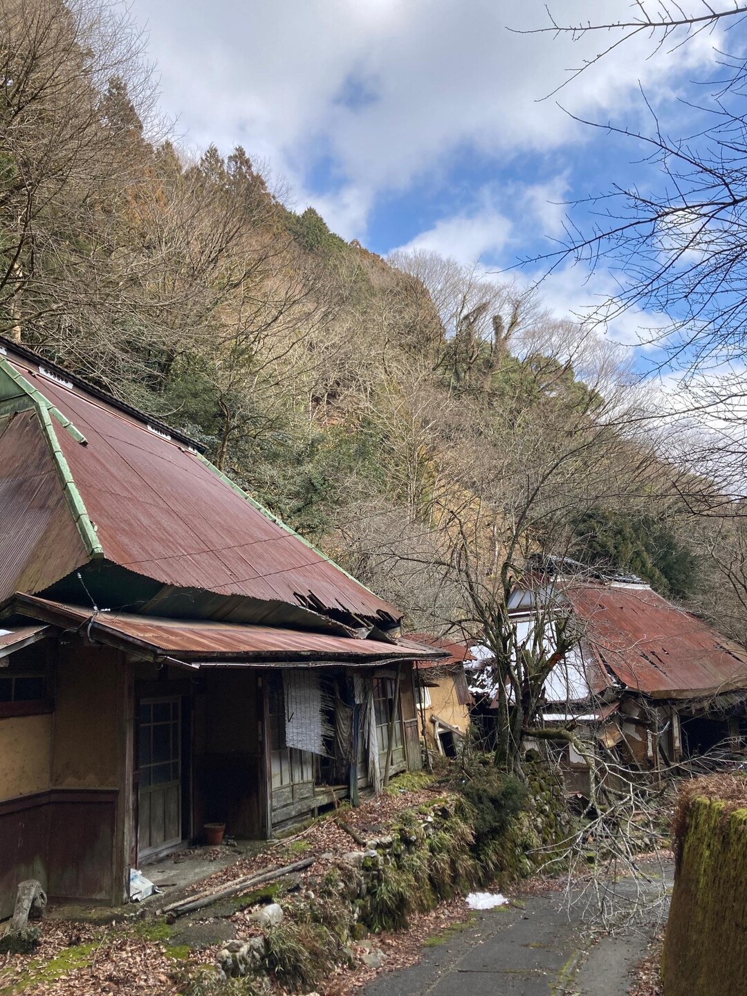 鈴鹿300山のヤマゴエ・猿ヶ山 257-8/300 / takaさんの霊仙山の活動データ | YAMAP / ヤマップ