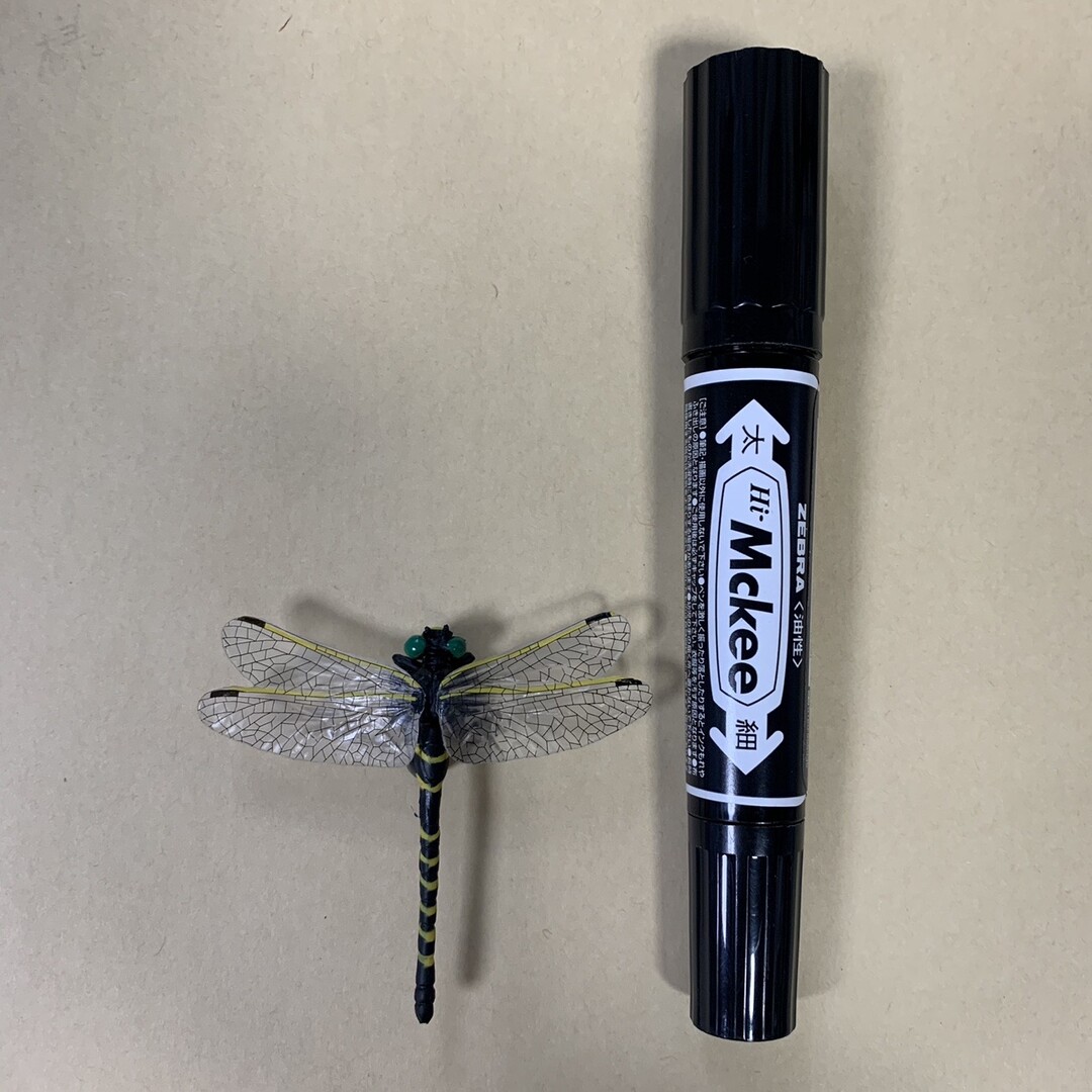 頂き物のおにやんま君！ 初めて見たー！ ... / ayumiさんのモーメント | YAMAP / ヤマップ